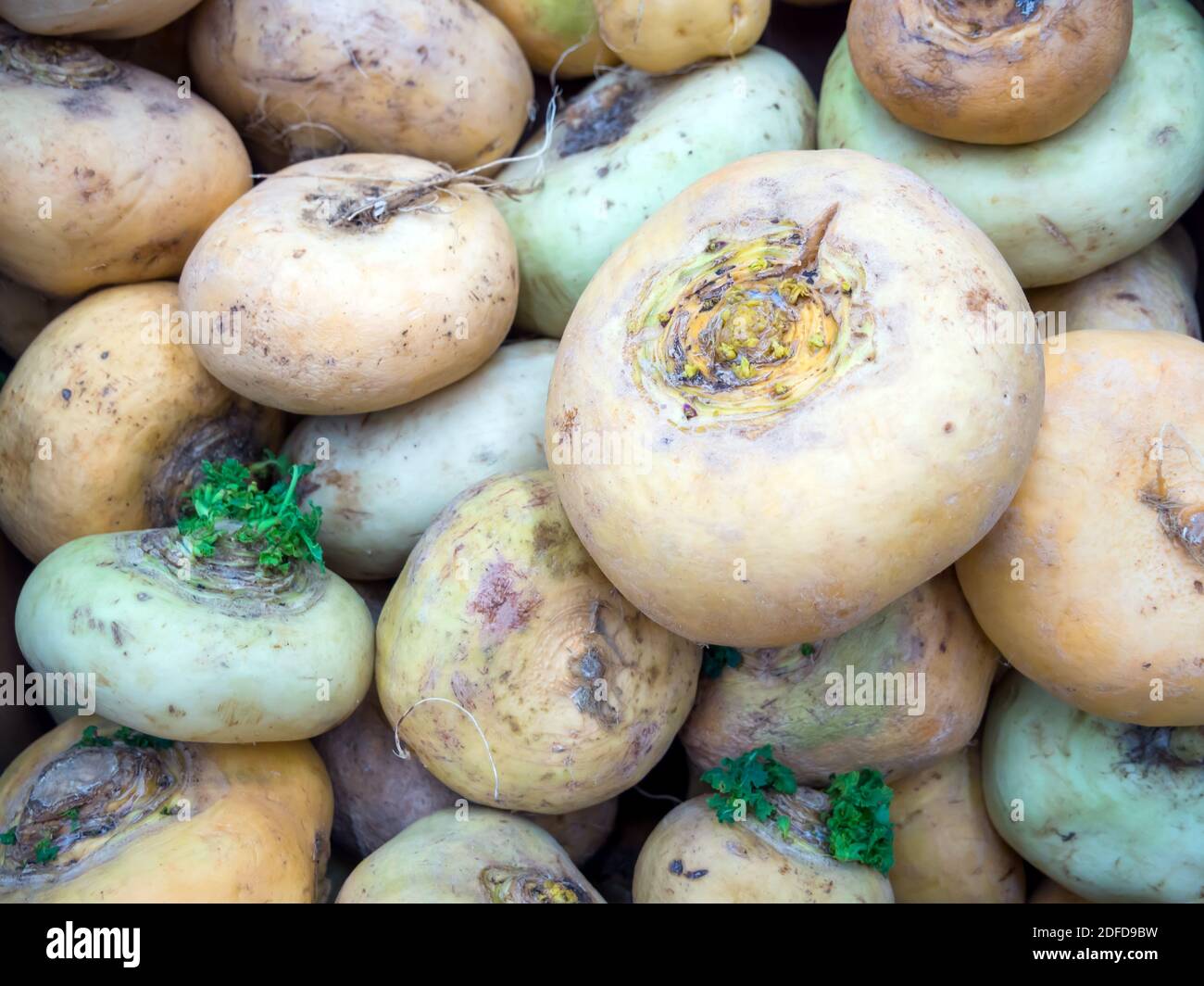 Piled On Top Of Each Other High Resolution Stock Photography and Images ...