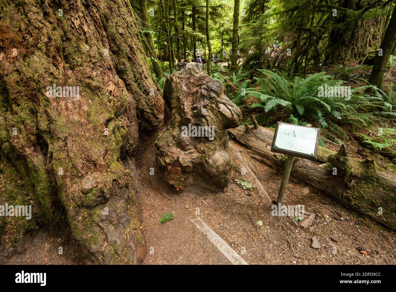 Bc vancouver island cathedral hi-res stock photography and images - Alamy