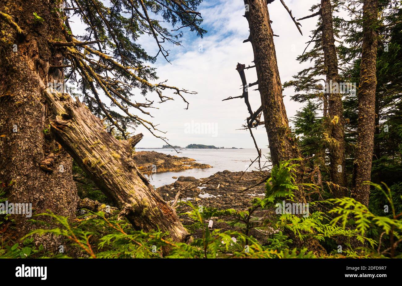 shootings around the Wild Pacific Trail Ucluelet Lighthouse Loop ...