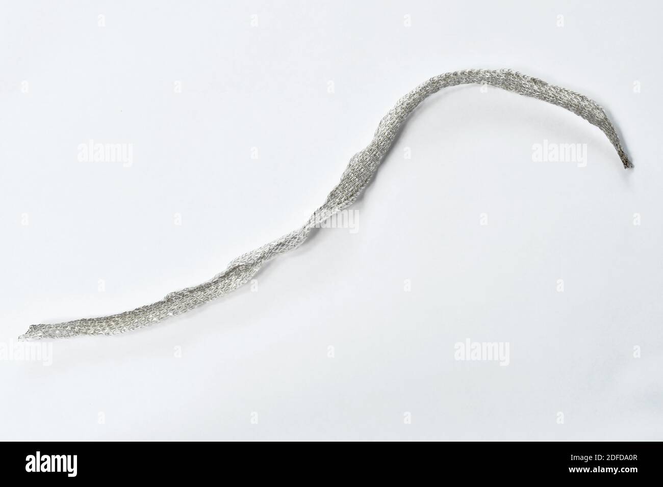 Epidermis shedding hi-res stock photography and images - Alamy