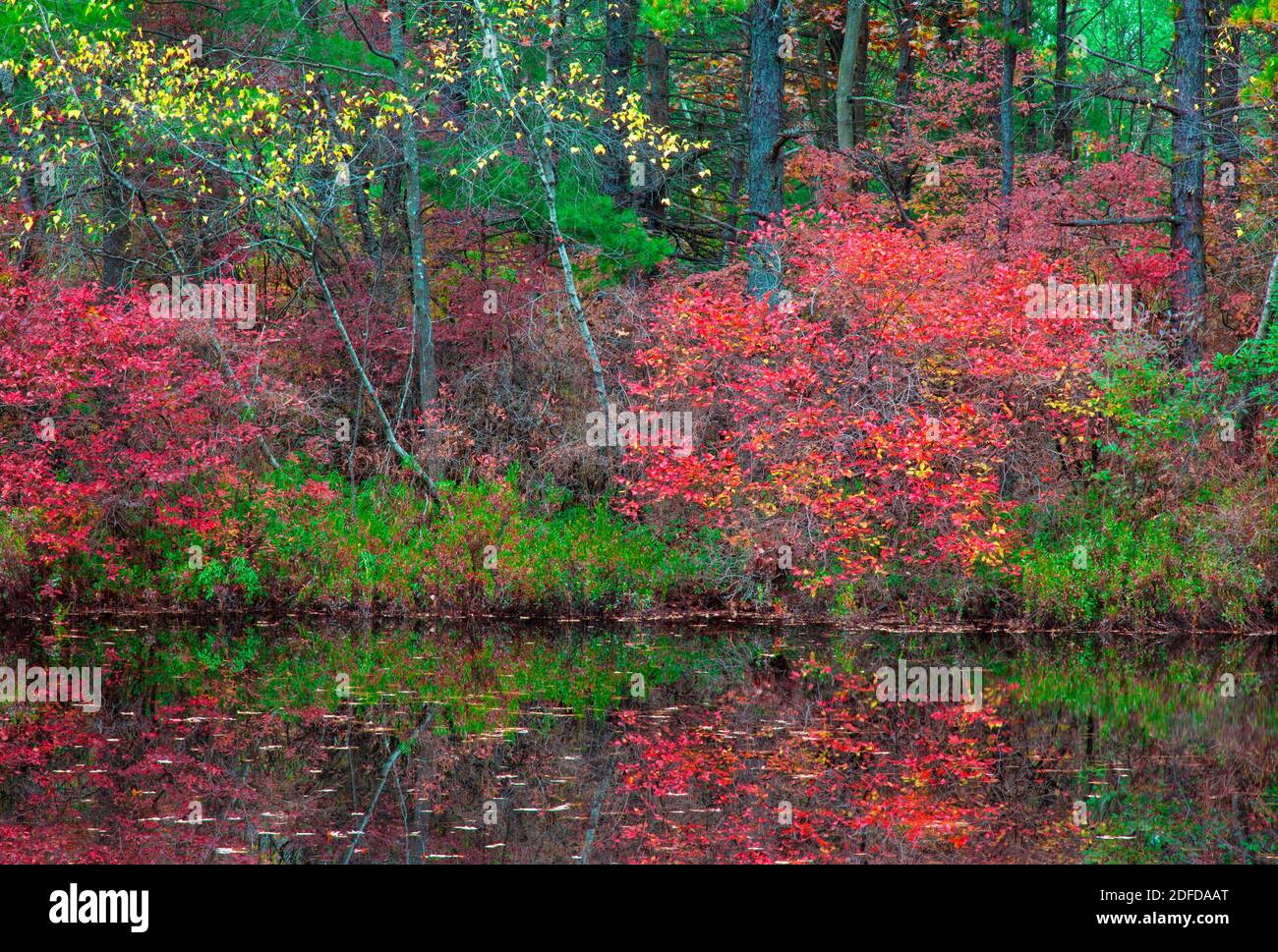 North pond nature preserve hi-res stock photography and images - Alamy