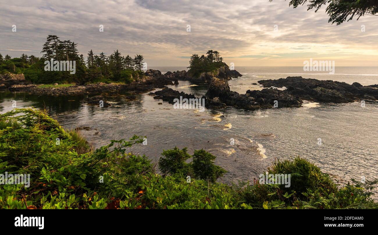 shootings around the Wild Pacific Trail Ucluelet Lighthouse Loop ...