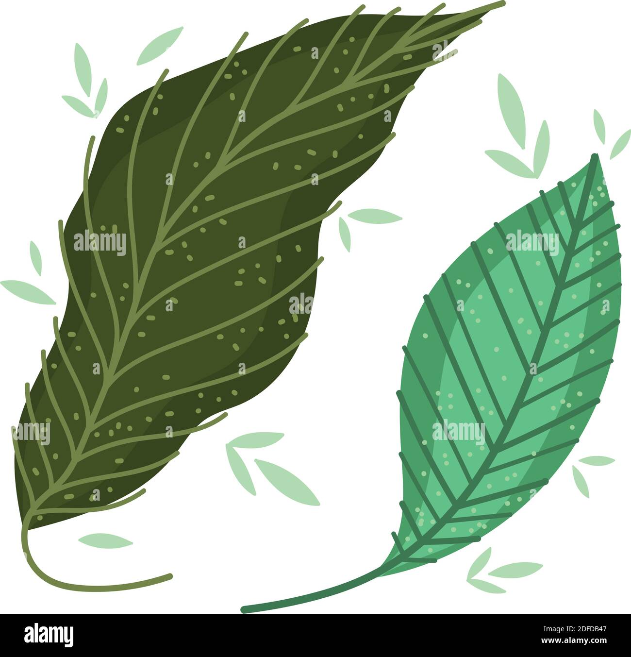 leaves nature foliage exotic cartoon design vector illustration Stock ...