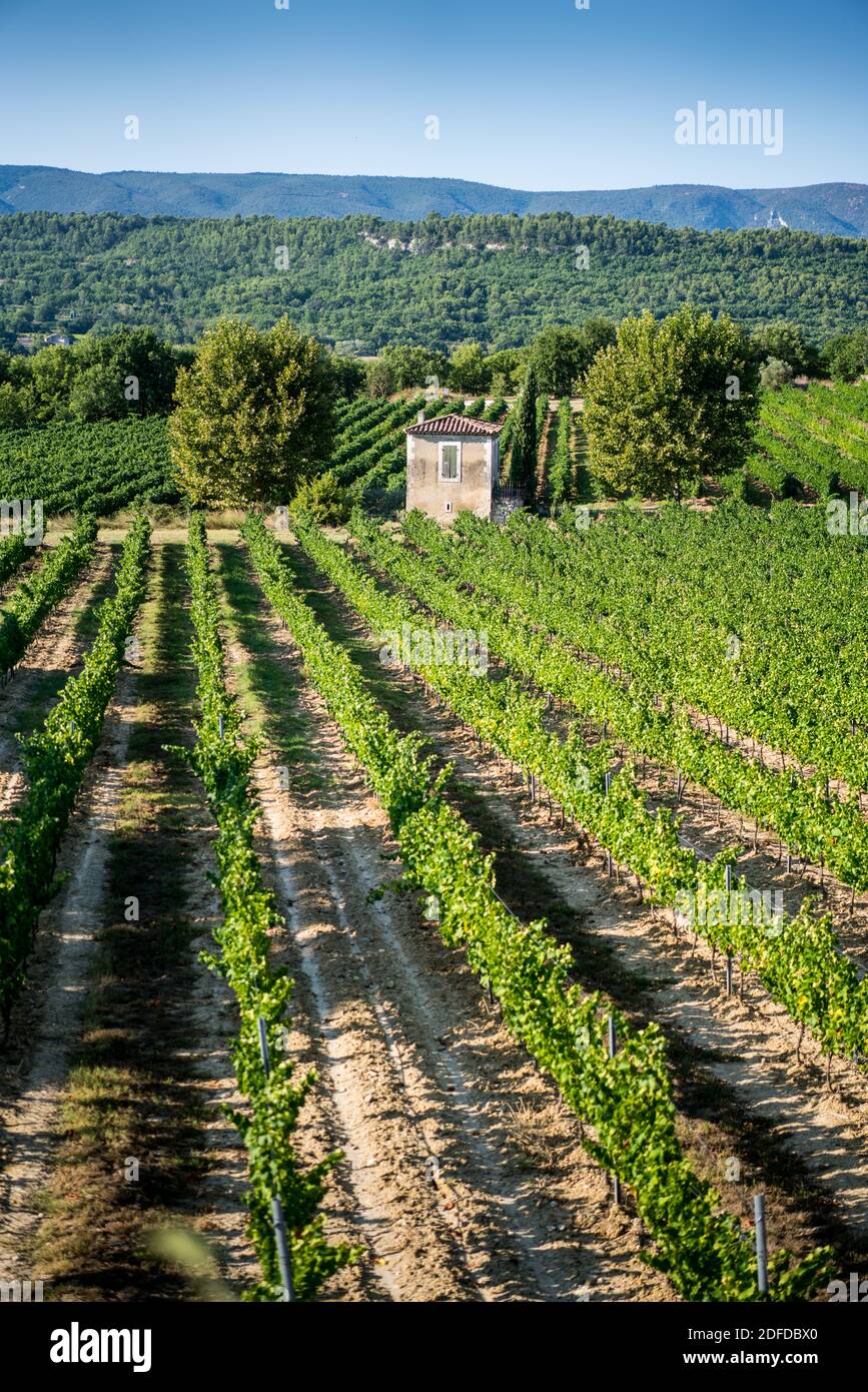 Street of the village Goult, Provence, France, Europe Stock Photo - Alamy