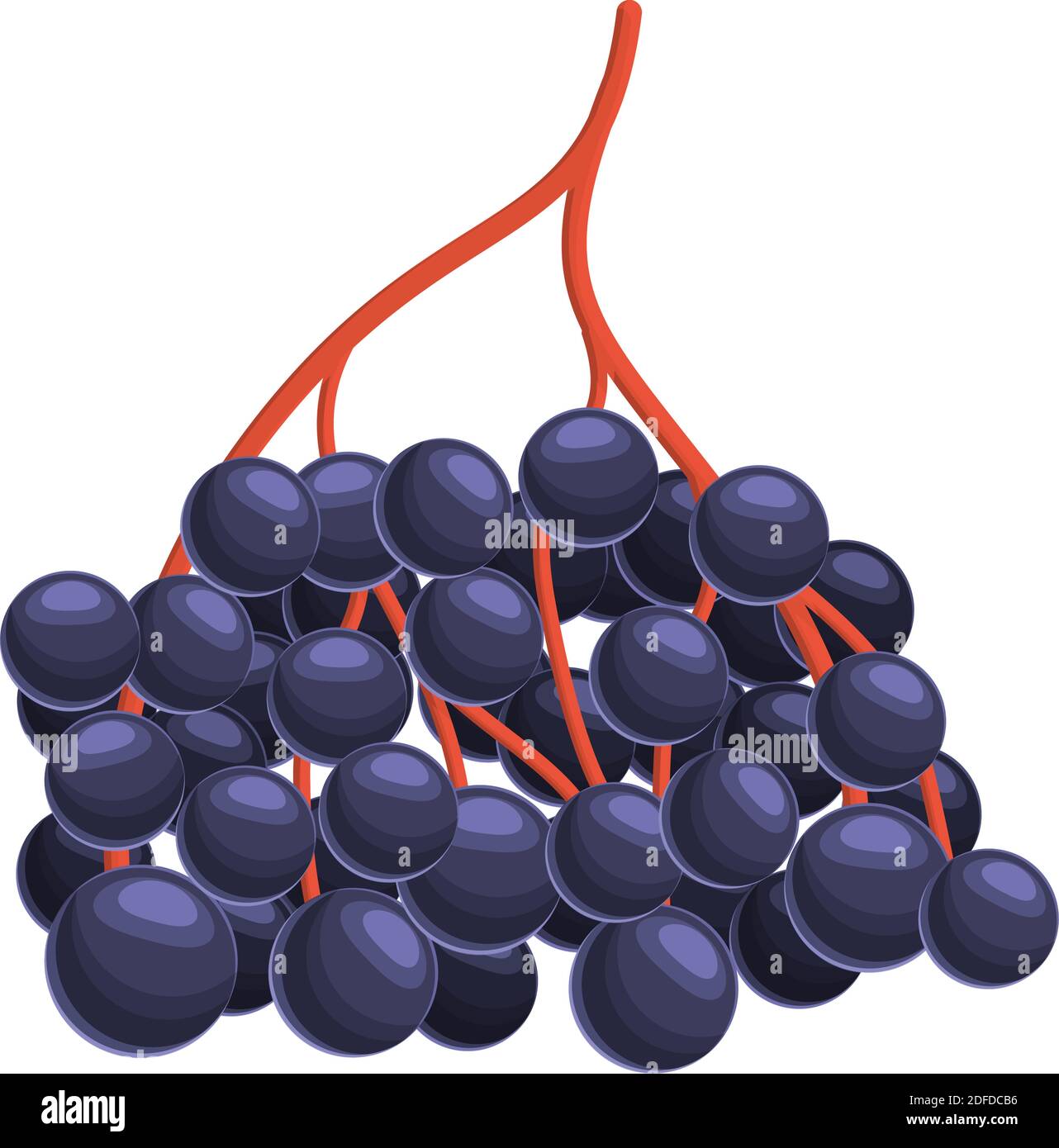 Ripe elderberry icon. Cartoon of ripe elderberry vector icon for web ...