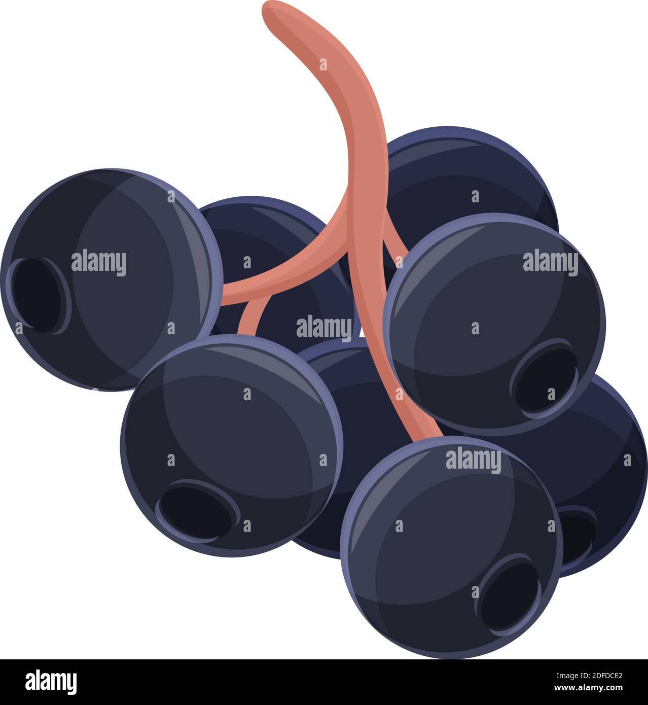 Forest elderberry icon. Cartoon of forest elderberry vector icon for ...