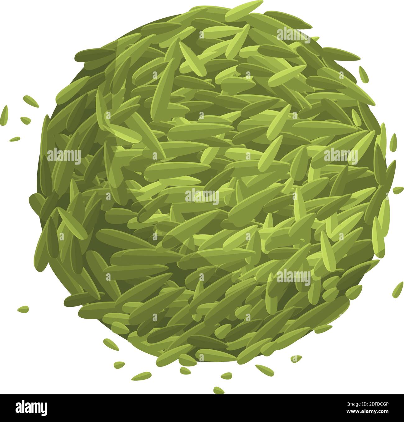 Aromatic thyme icon. Cartoon of aromatic thyme vector icon for web ...