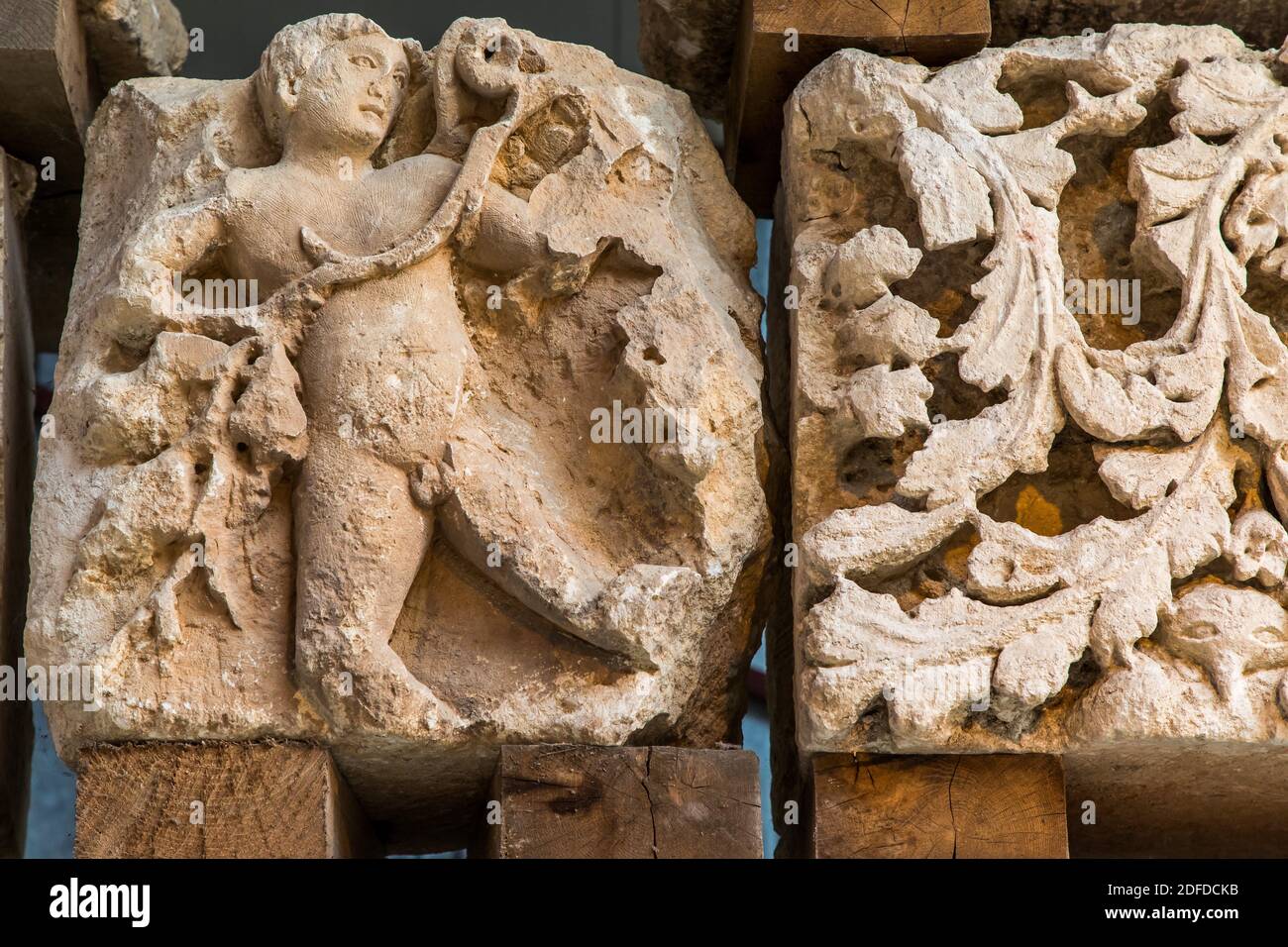 Cesar grape variety hi-res stock photography and images - Alamy