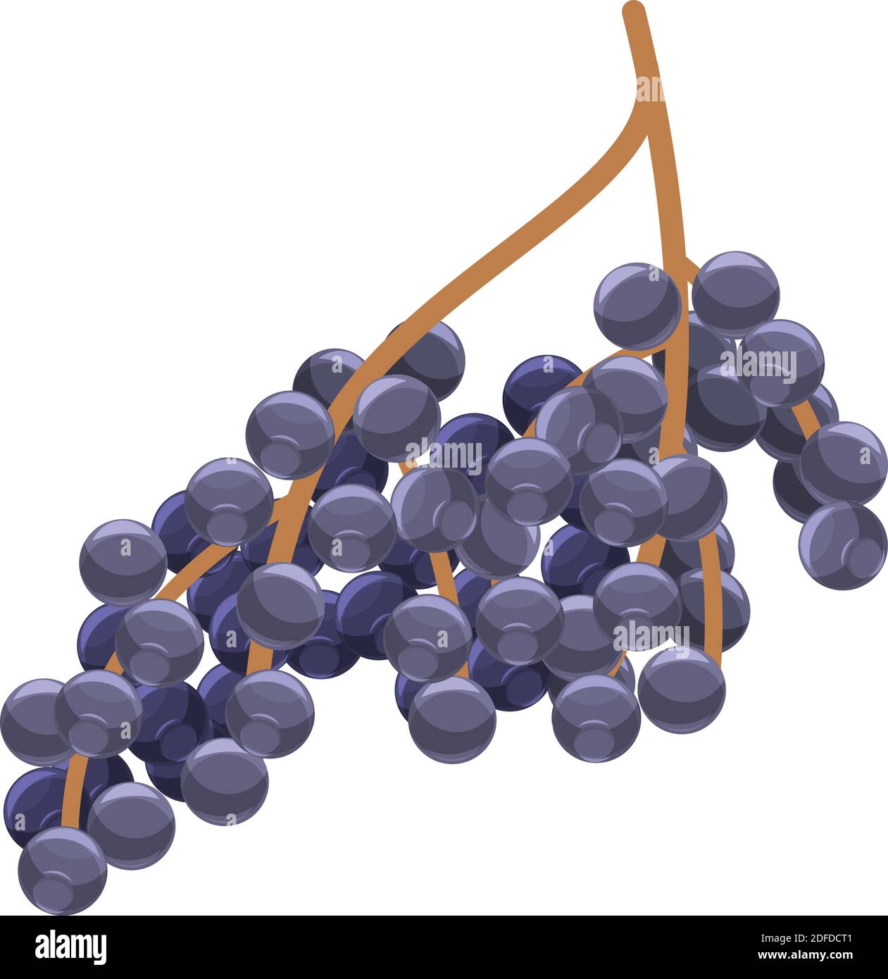 Farm elderberry icon. Cartoon of farm elderberry vector icon for web ...