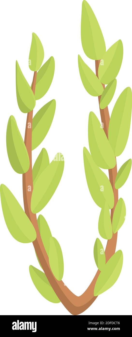 Fresh thyme icon. Cartoon of fresh thyme vector icon for web design ...