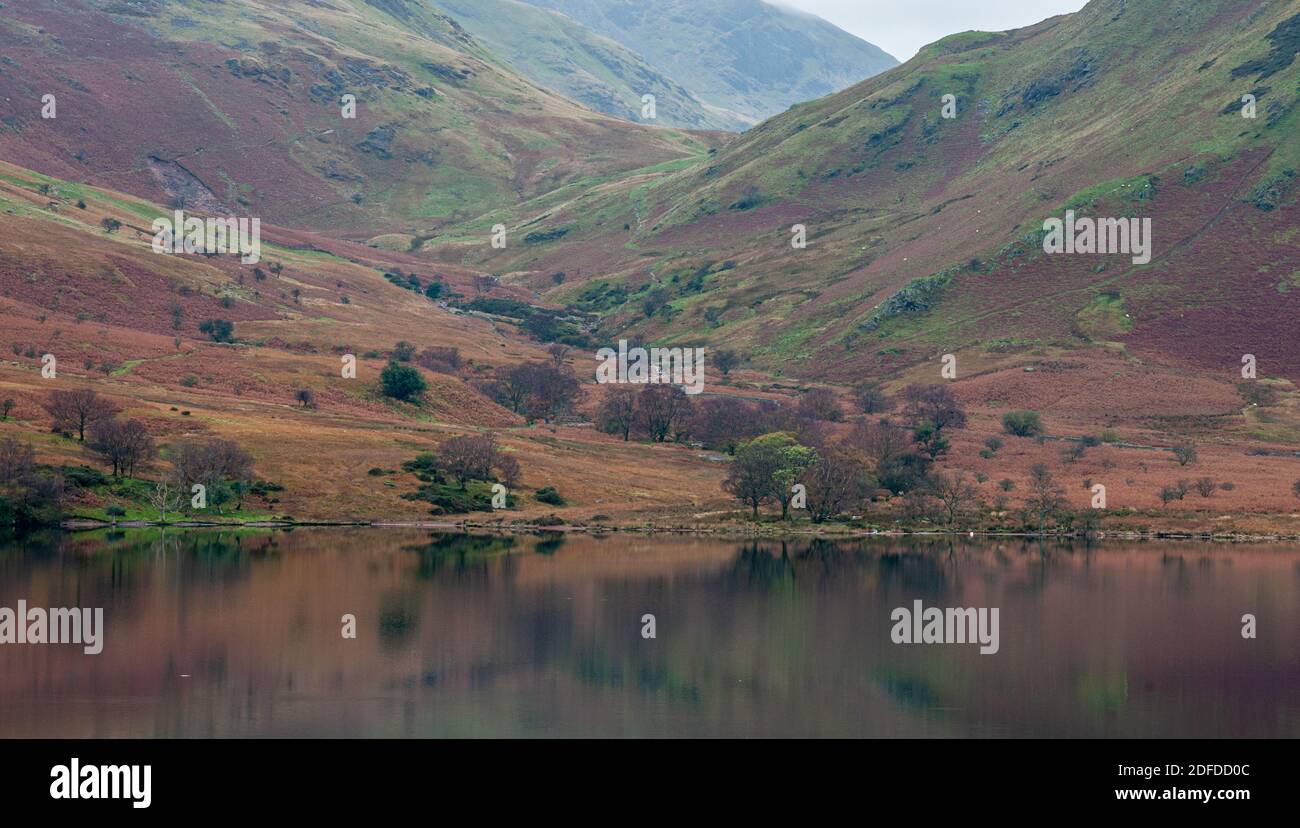 View across Crummock Water in the Lake District Stock Photo - Alamy