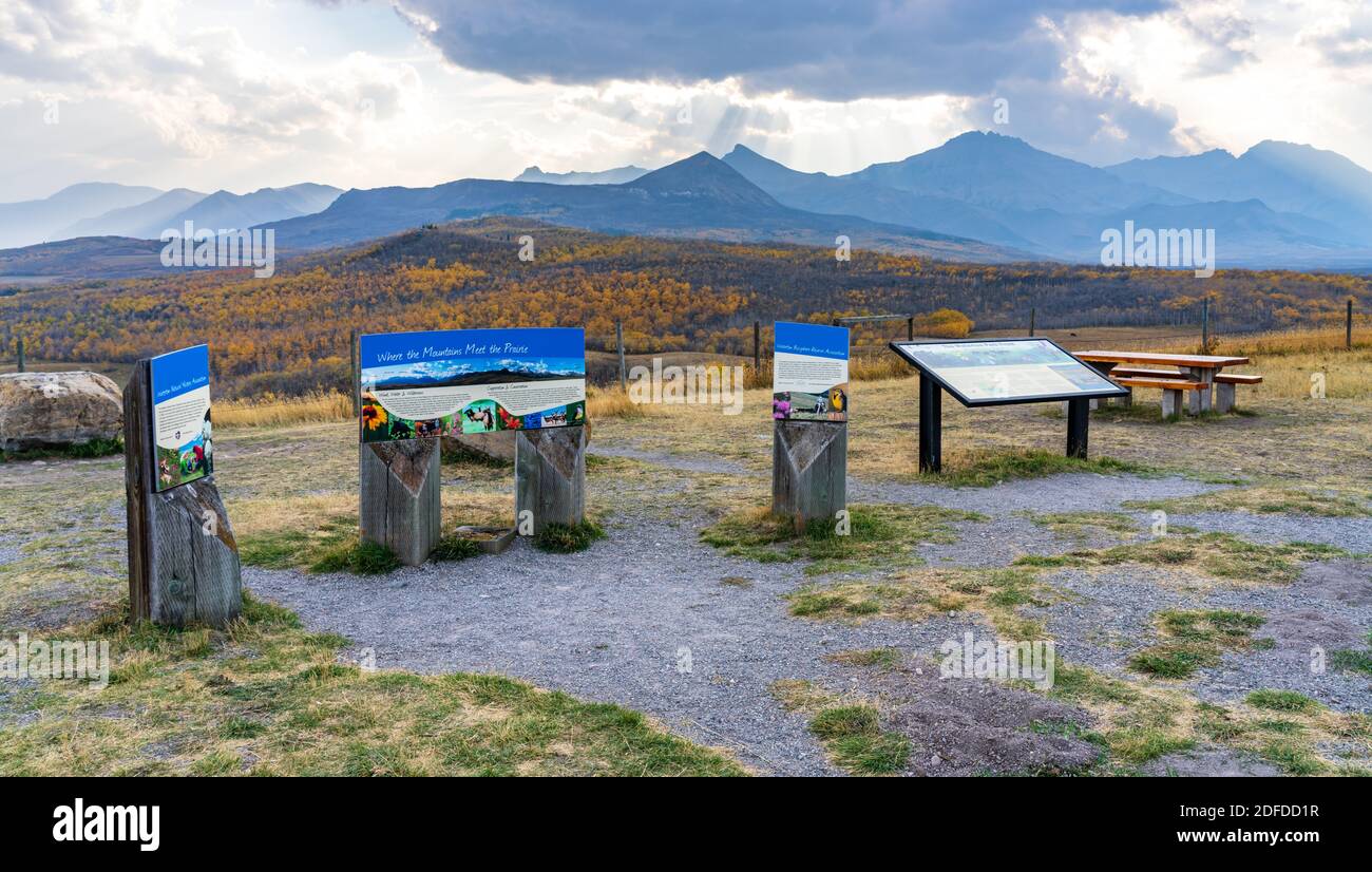 Vast prairie and forest in beautiful autumn. Sunlight passing blue sky ...