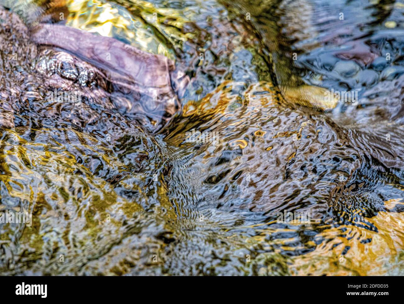 Detail stream waterfall cataract hi-res stock photography and images ...