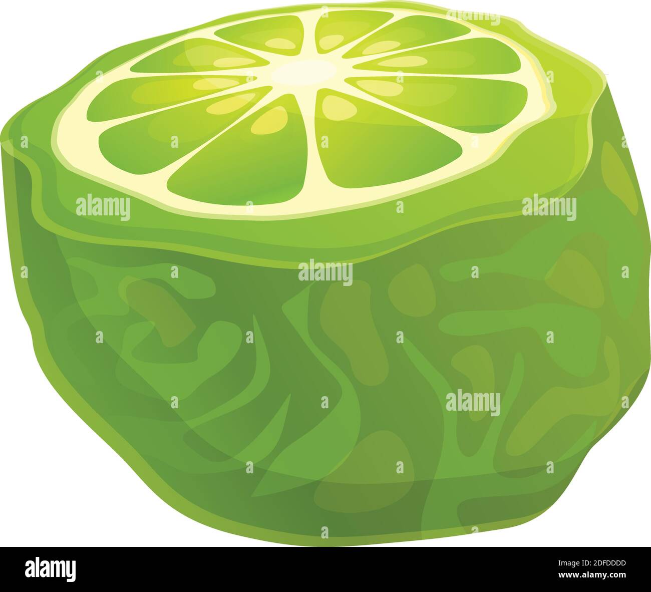 Bergamot citron icon. Cartoon of bergamot citron vector icon for web ...