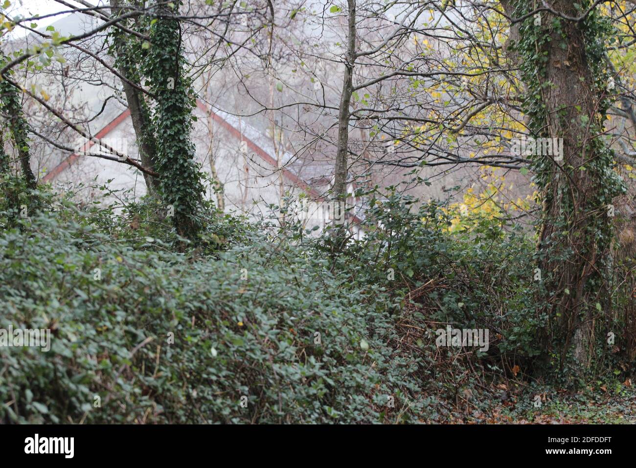 Ant and Dec secret hideout at Graiglwyd holiday cottage in Penmaenmawr ...