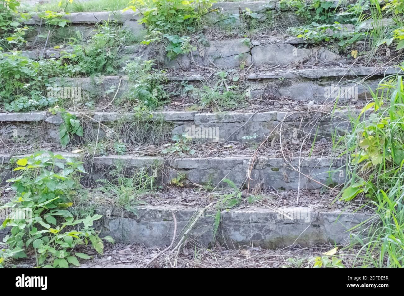 Vegetated by grass hi-res stock photography and images - Alamy