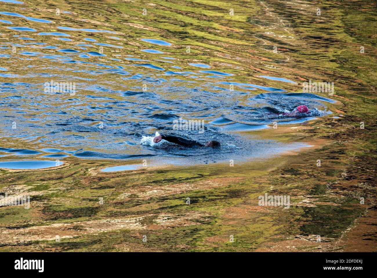 Swimming rydal water lake district hi-res stock photography and images ...