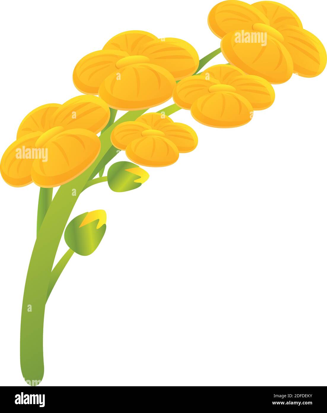 Canola icon. Cartoon of canola vector icon for web design isolated on ...