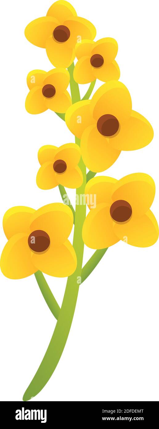 Canola eco plant icon. Cartoon of canola eco plant vector icon for web ...