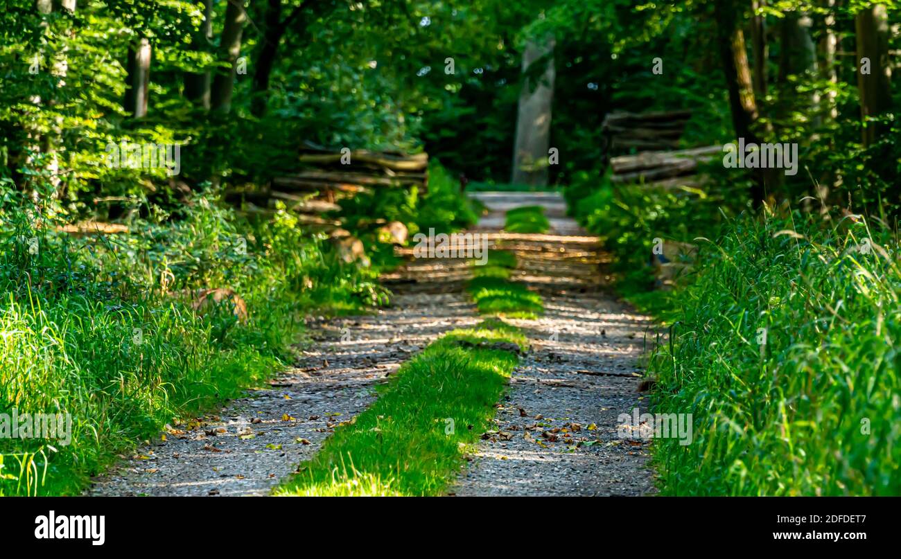 Old dirt road hi-res stock photography and images - Alamy