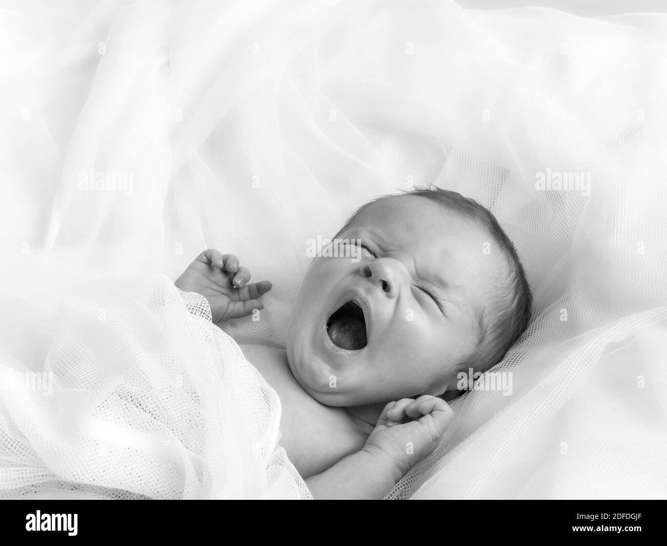 Studio portrait baby in Black and White Stock Photos & Images - Alamy