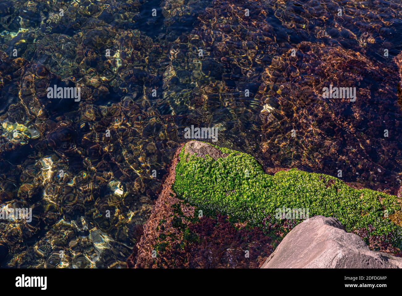 Background of a beautiful transparent Sicilian sea Stock Photo - Alamy