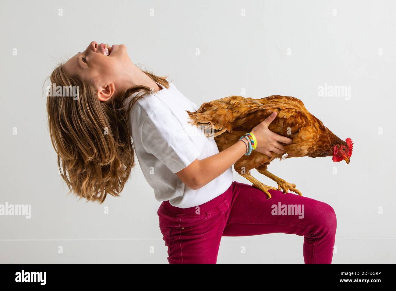 A GIRL AND HER HEN, CHILD AND PET, STUDIO PORTRAIT Stock Photo - Alamy
