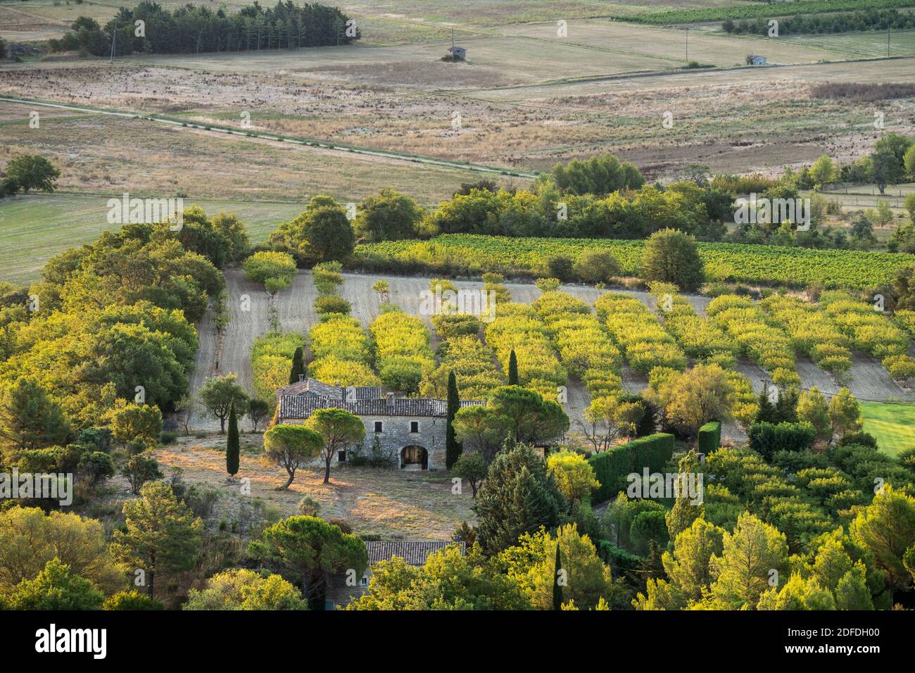 Rural house in the landscape of Provence, France, Europe Stock Photo ...