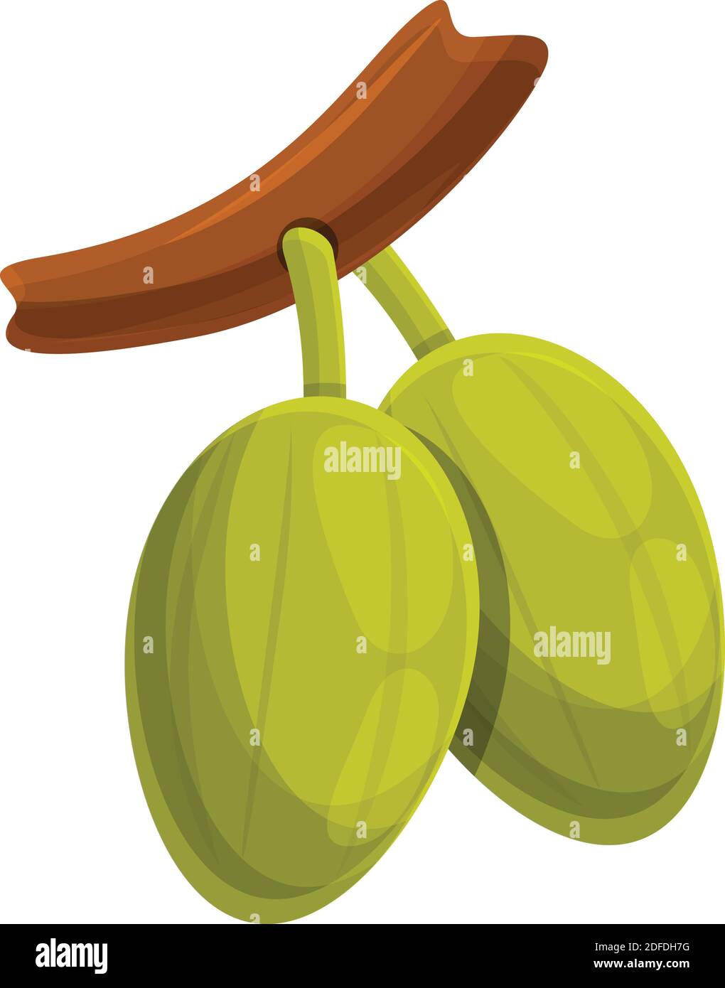 Cutted shea tree green nut icon. Cartoon of cutted shea tree green nut ...