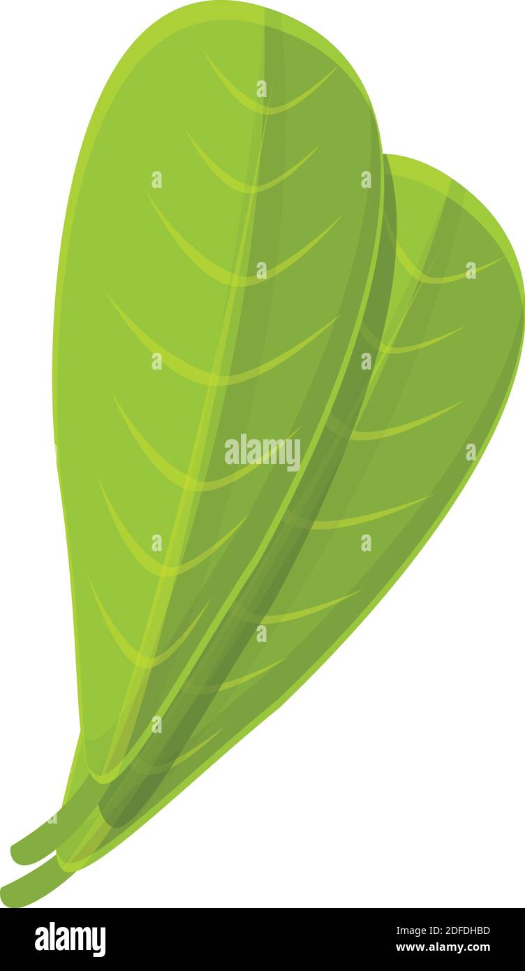 Shea tree leaf icon. Cartoon of shea tree leaf vector icon for web ...