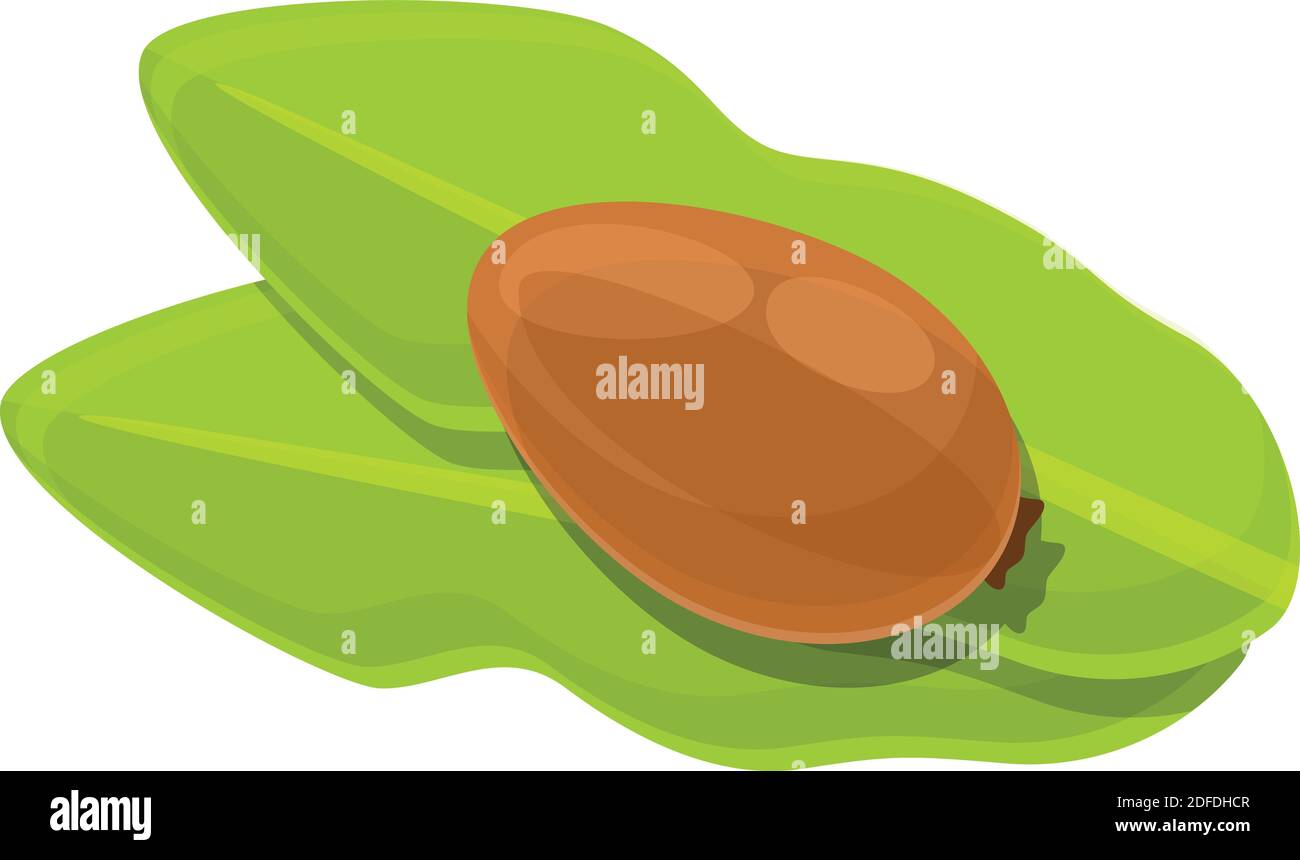 On leaf shea tree green nut icon. Cartoon of on leaf shea tree green ...