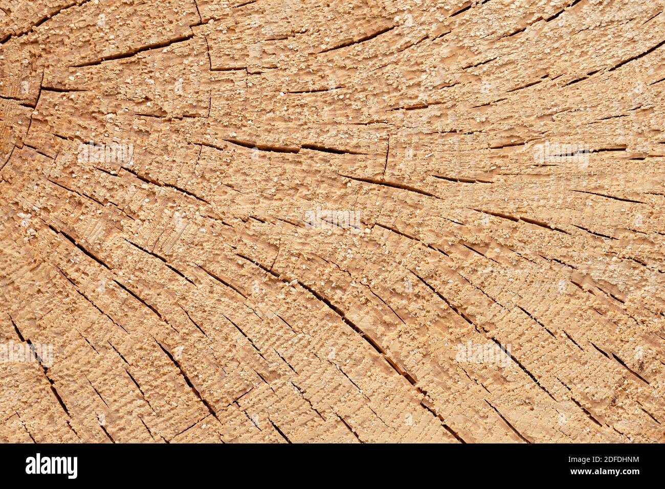 Picture of Abstract background like slice of wood timber natural Stock ...