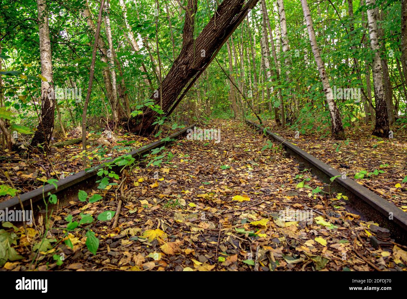 Overgrown railway track hi-res stock photography and images - Alamy