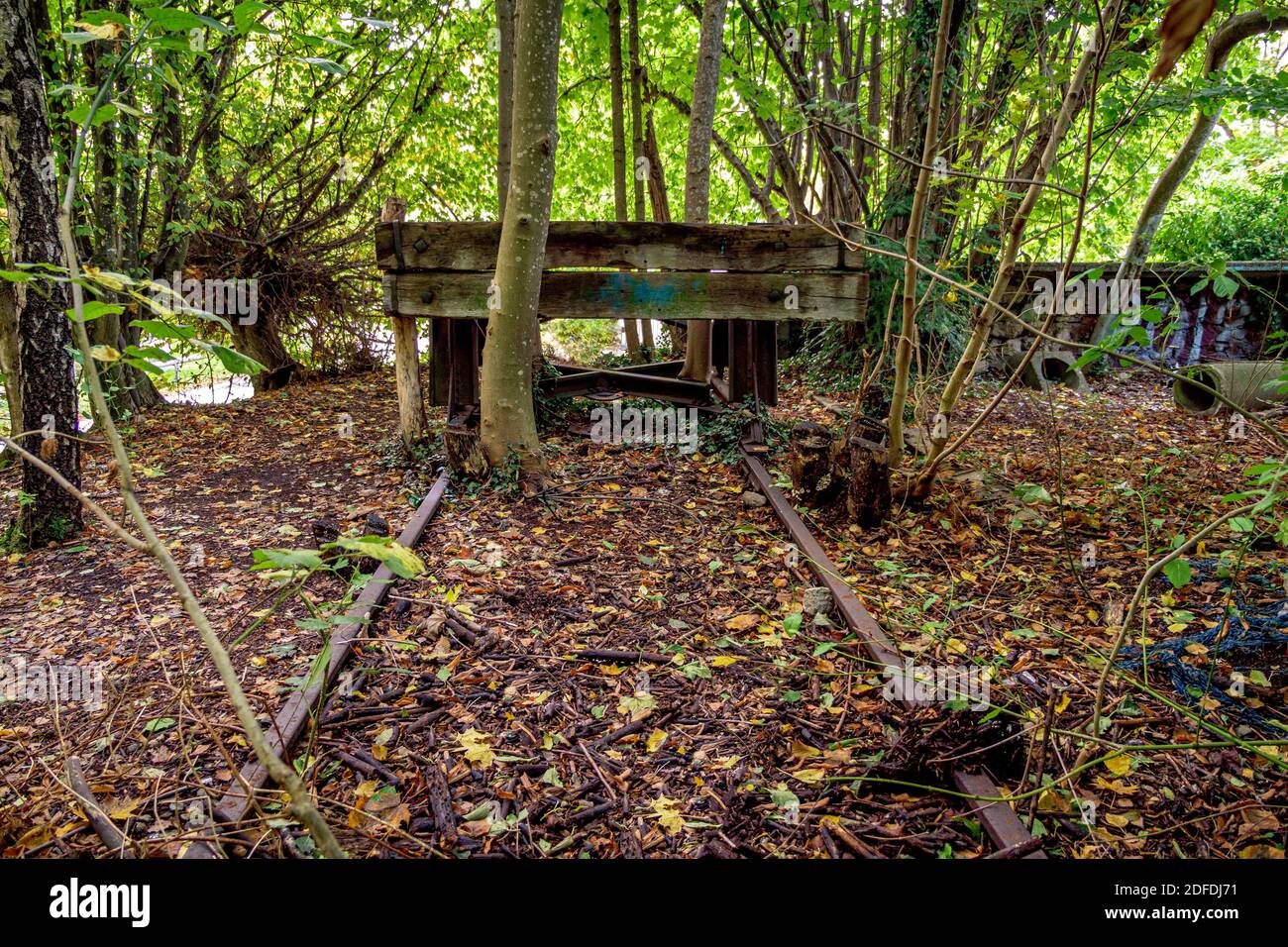 Overgrown railway track hi-res stock photography and images - Alamy