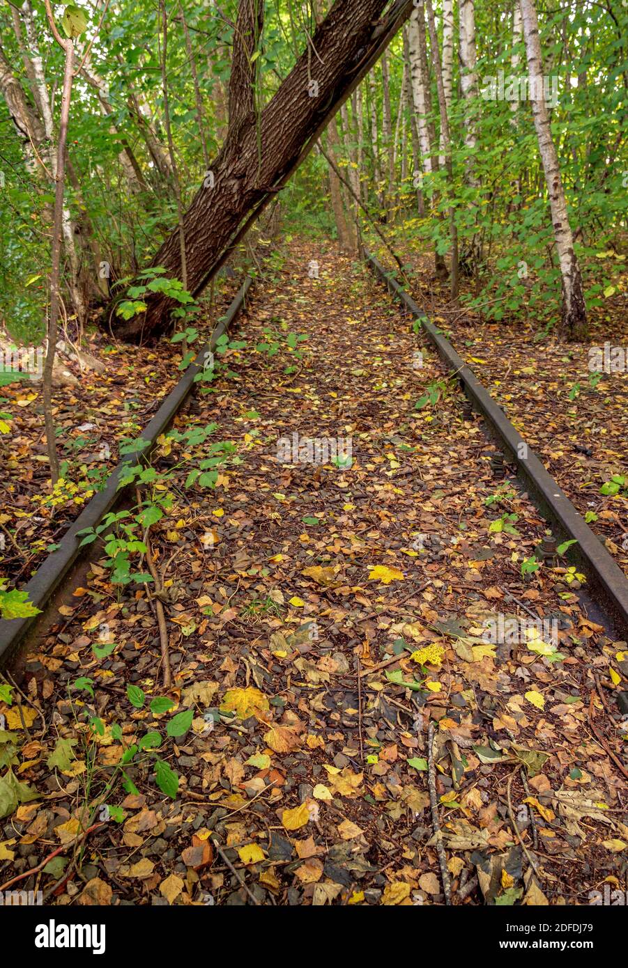 Overgrown railway line hi-res stock photography and images - Alamy