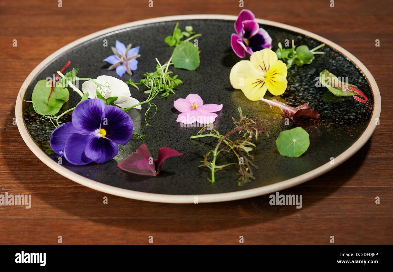 Dressing plate hi-res stock photography and images - Alamy
