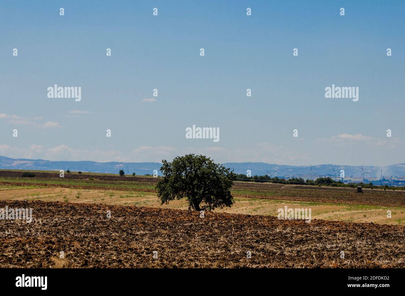 Apulia plain hi-res stock photography and images - Alamy