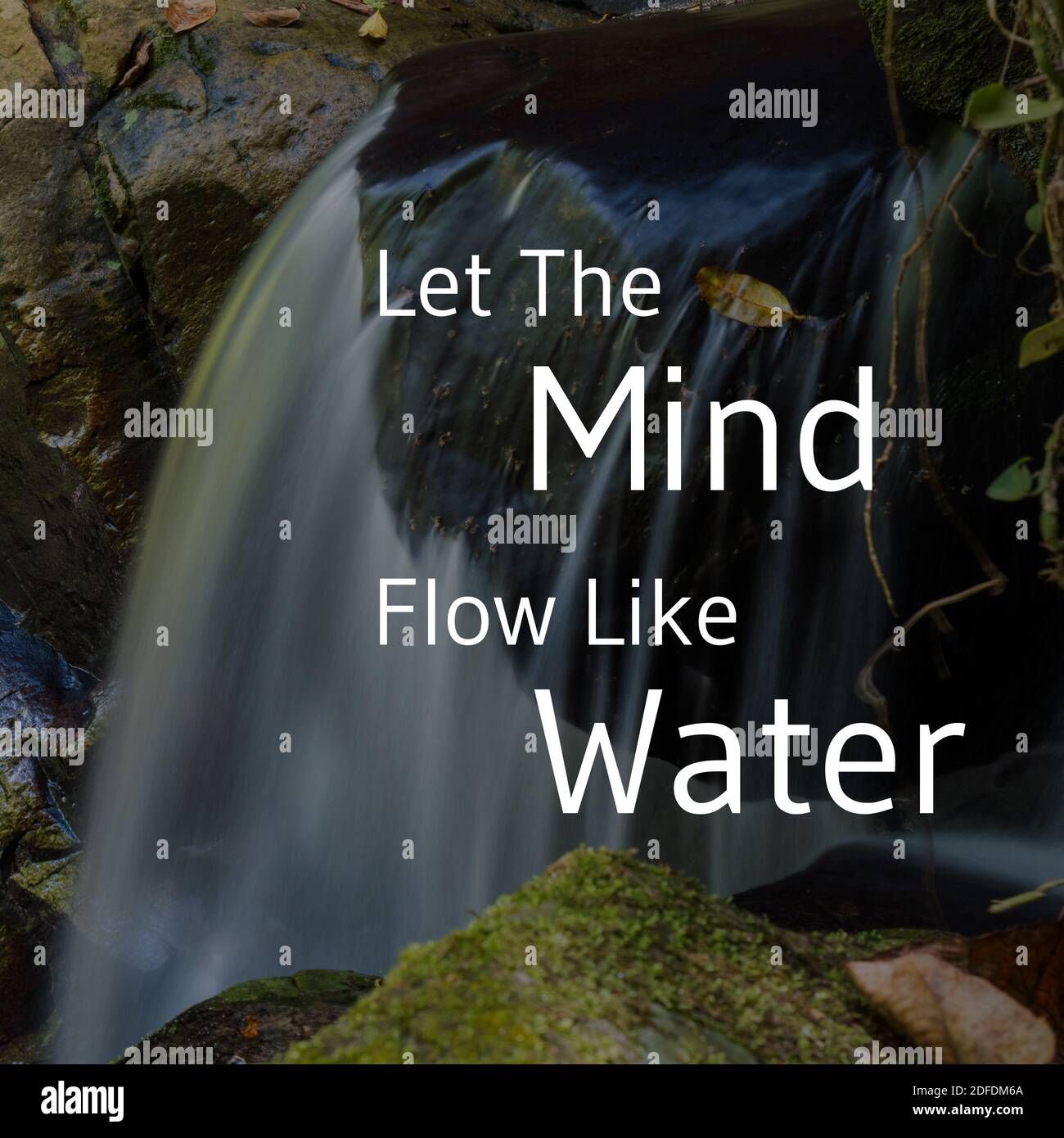 Inspirational and motivational quote. Let The Mind Flow Like Water ...