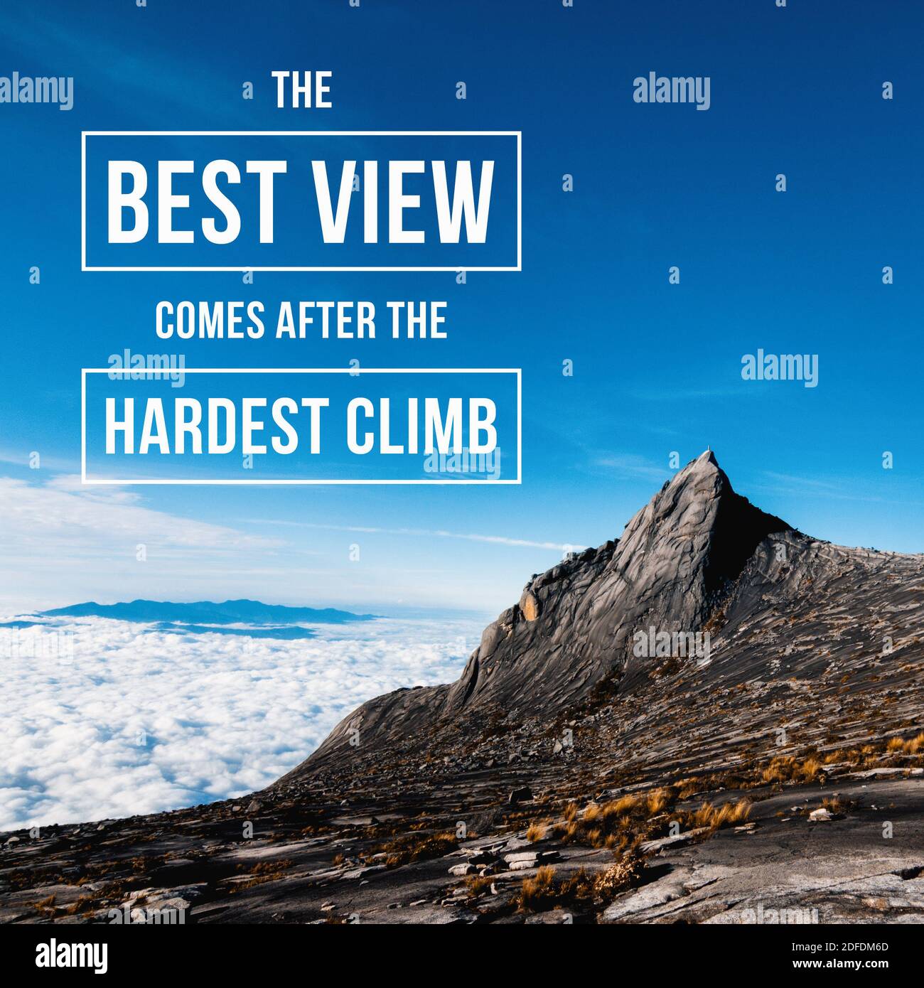 Inspirational and motivational quote. The Best View Comes After The ...