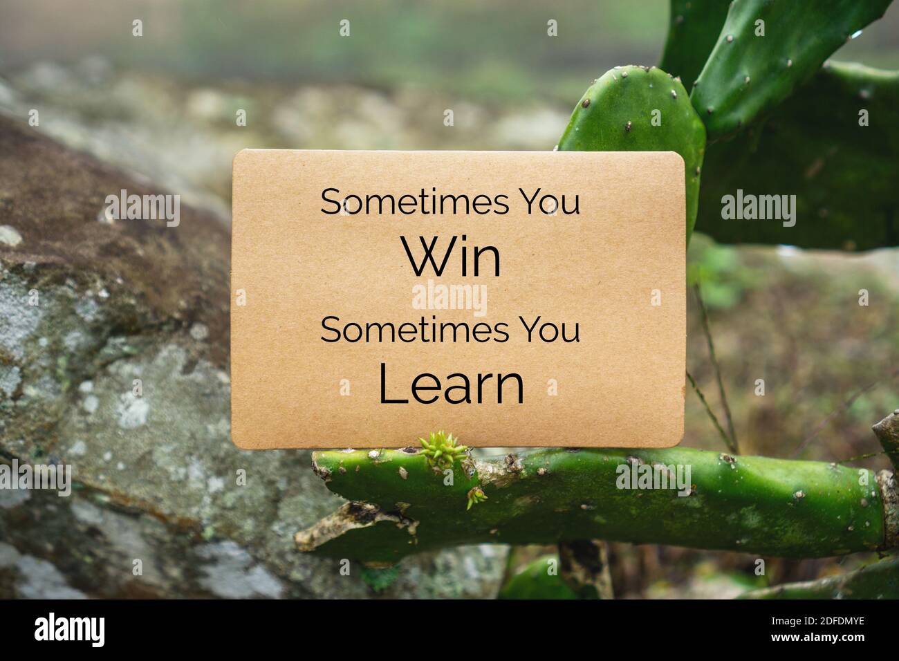 Motivational and Inspirational Quote. Sometimes You Win Sometimes You ...