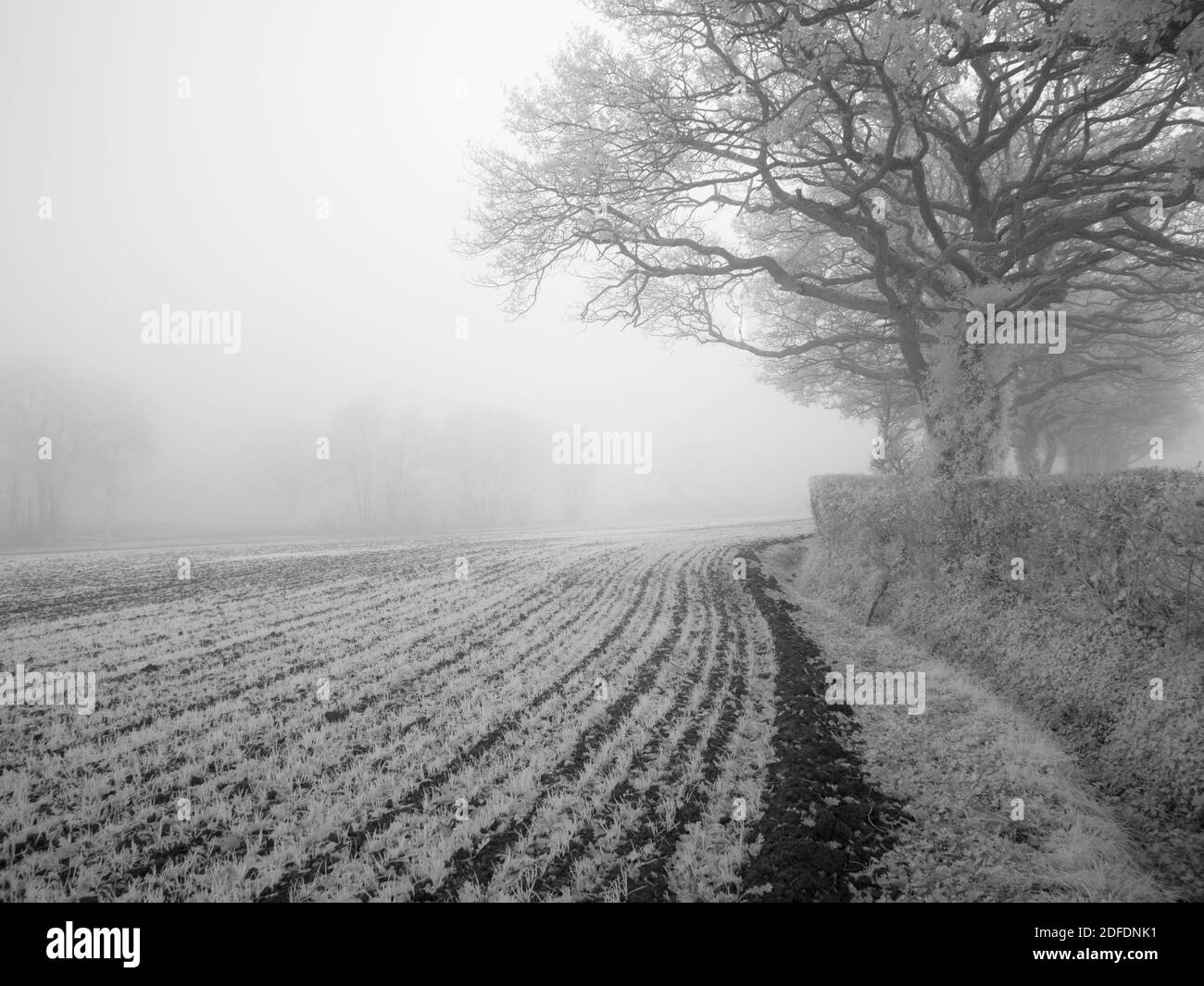 Misty fog Black and White Stock Photos & Images - Alamy