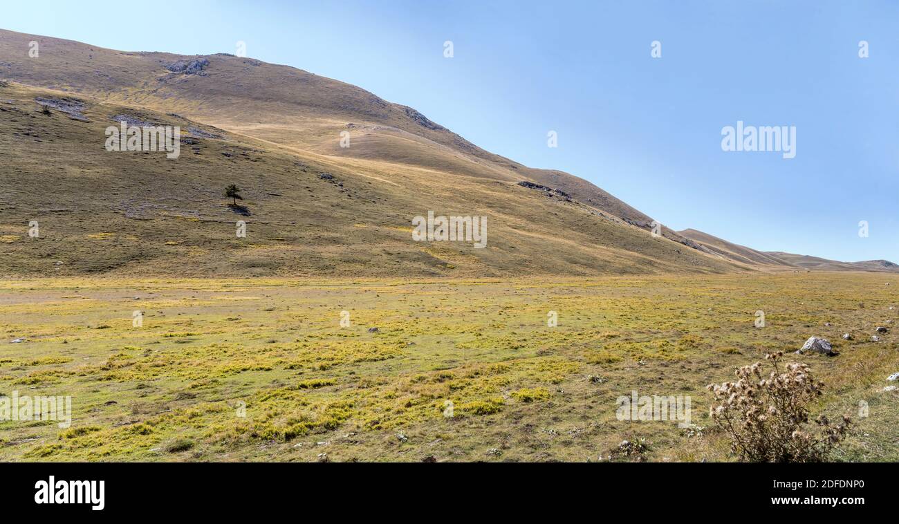 Flat upland hi-res stock photography and images - Alamy