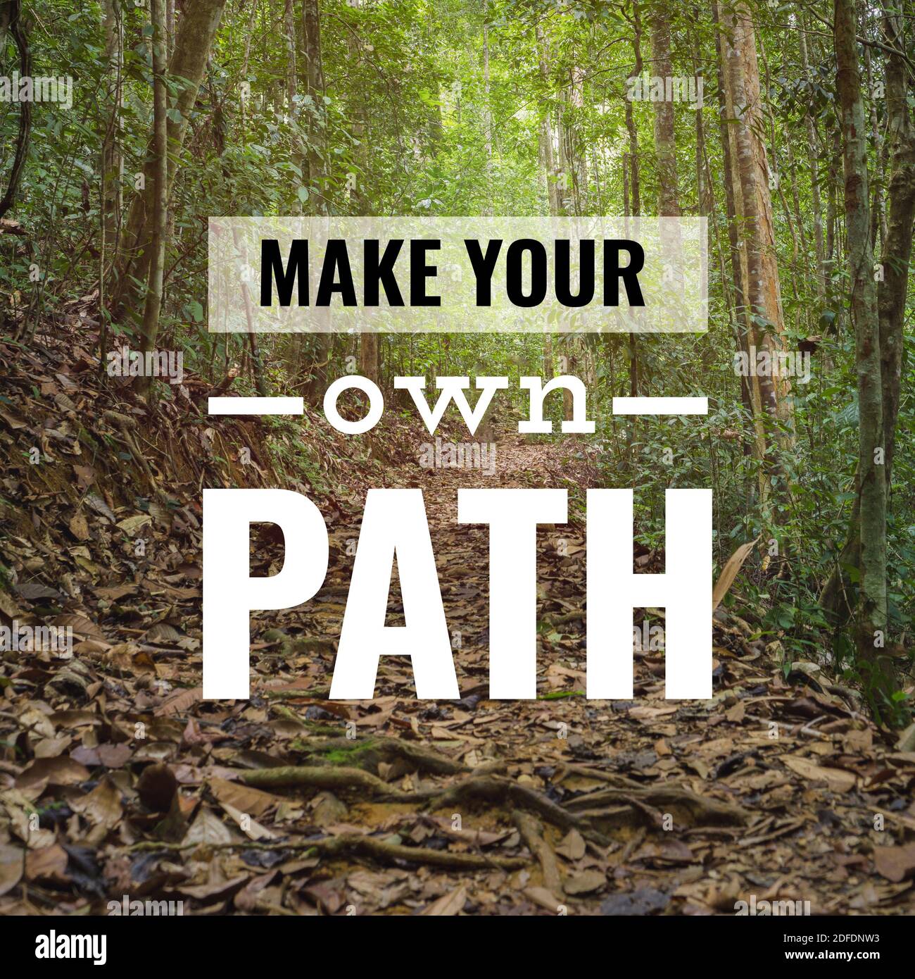 Inspirational and Motivational Quote. Make Your Own Path. Jungle ...