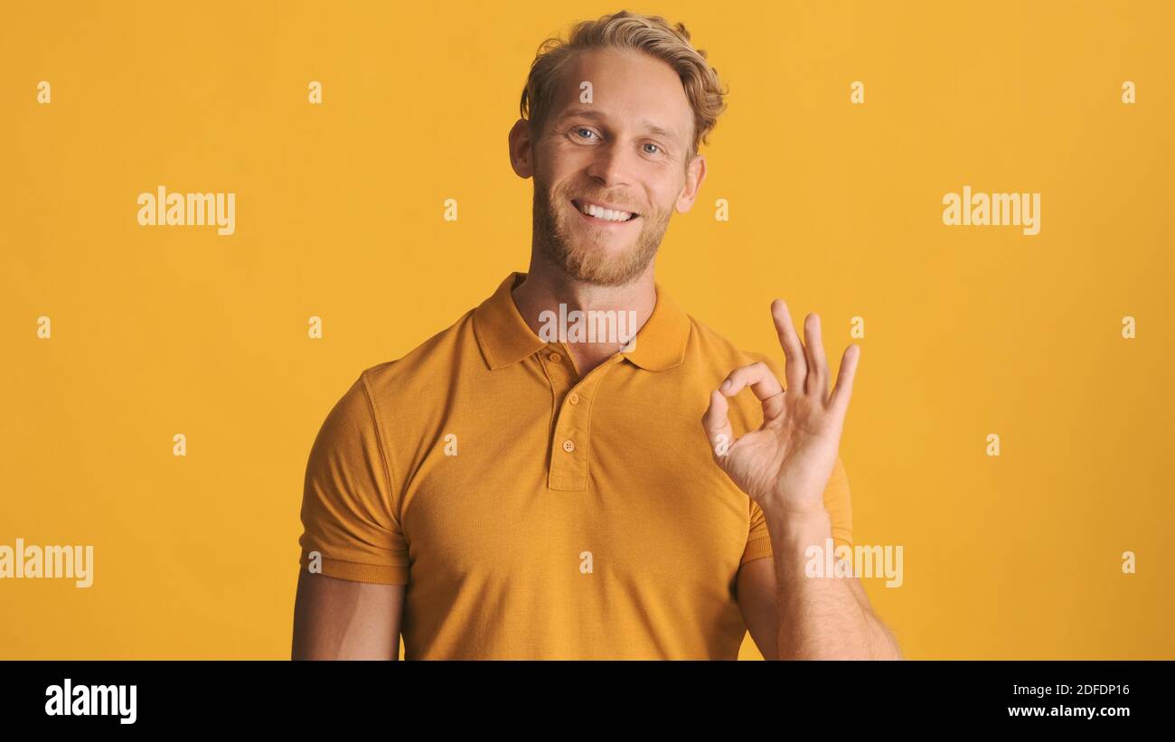 Handsome bearded man showing ok gesture agreeing with friend on camera ...