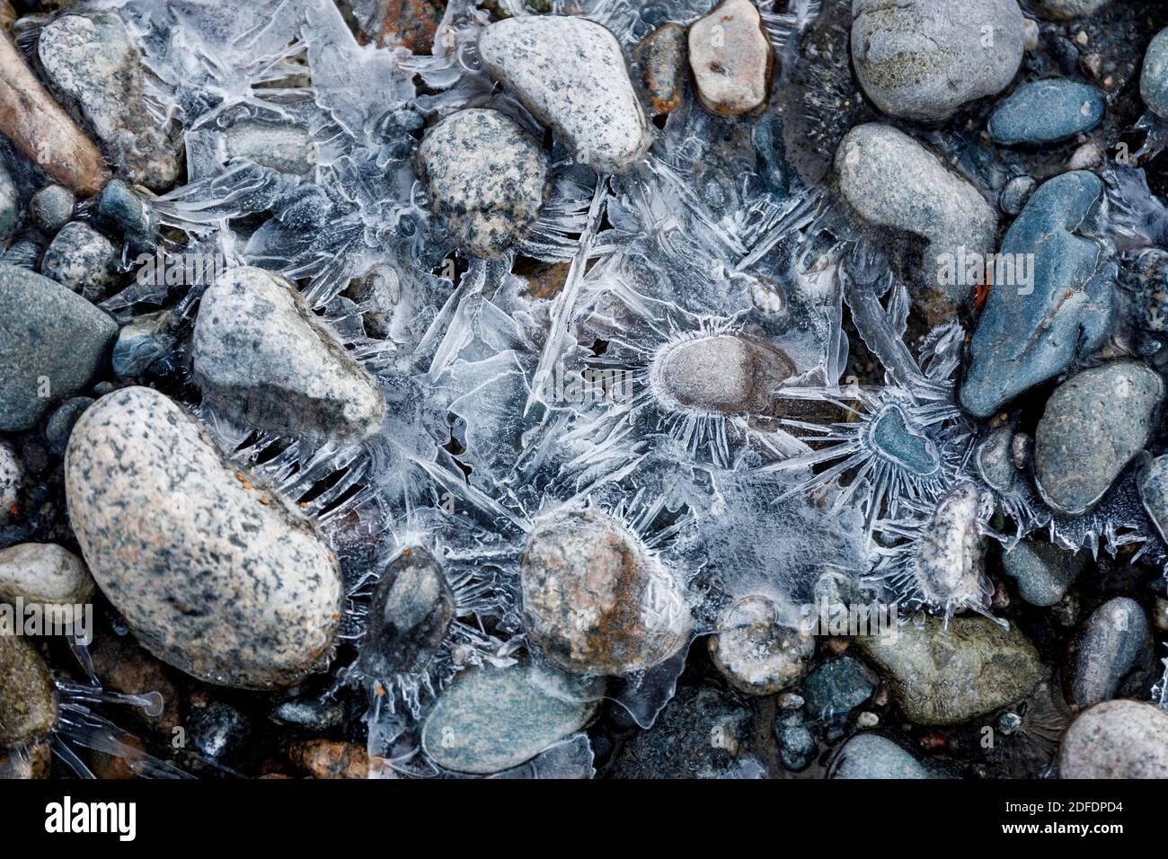 Cold weather causes ice to freeze among rocks on a beach in Canada ...