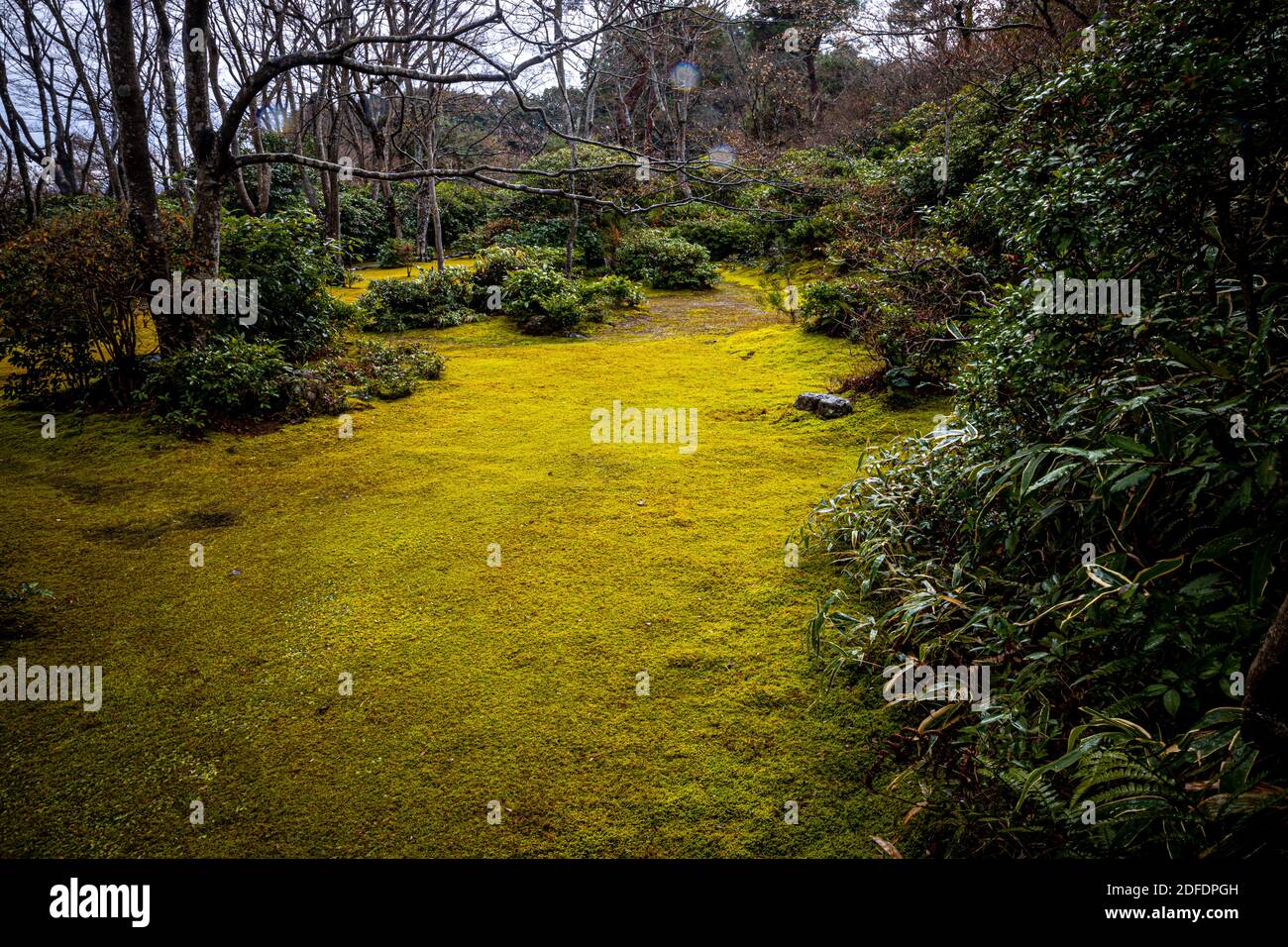 Historical Park in Kyoto green view Stock Photo - Alamy
