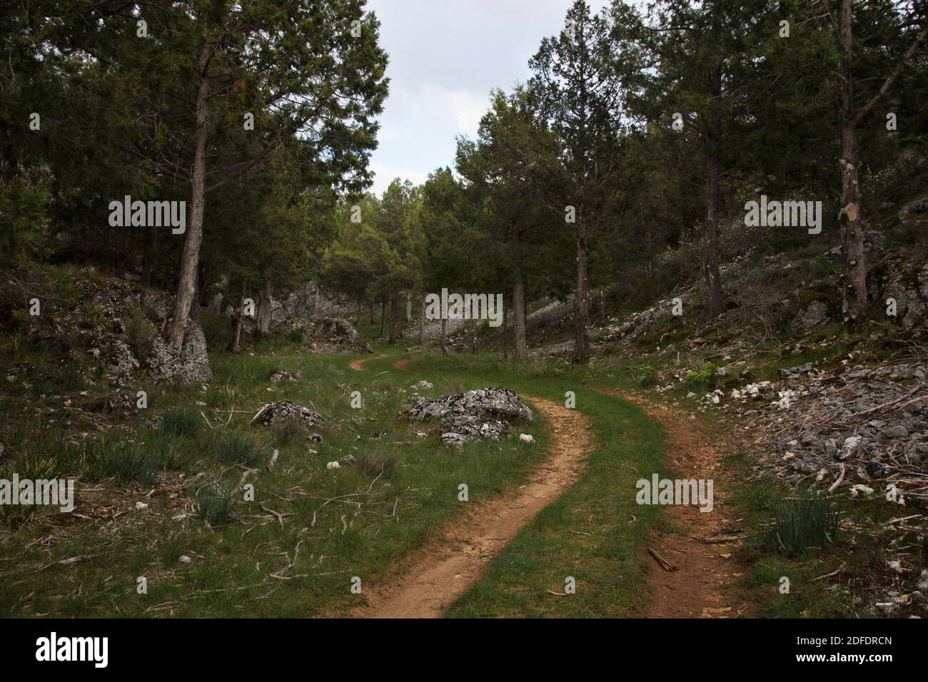 Land road hi-res stock photography and images - Alamy