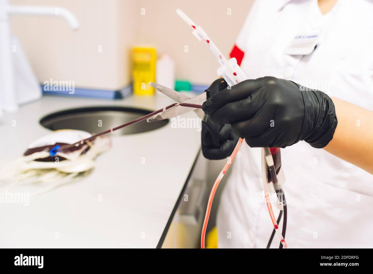 female doctor handling blood donation tubes Stock Photo - Alamy