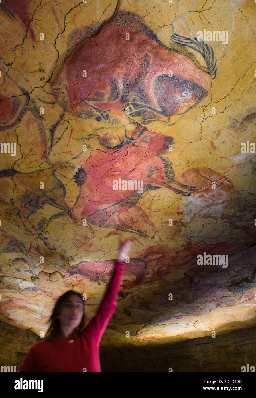 Paleolithic rock art, Polychrome room, Neocueva de Altamira, Santillana ...