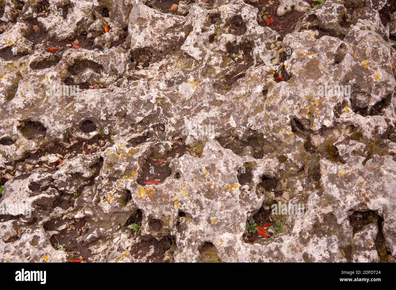 The texture of a large old stone Stock Photo - Alamy